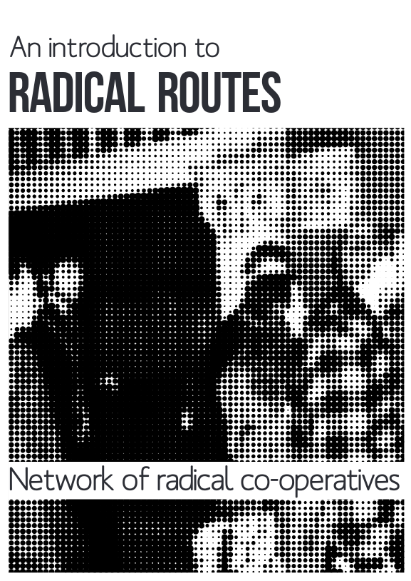 Publications – Radical Routes